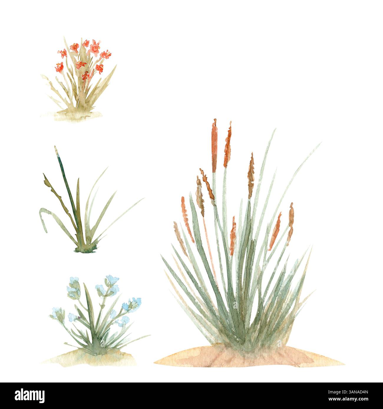 Plants and cards Cut Out Stock Images & Pictures - Alamy