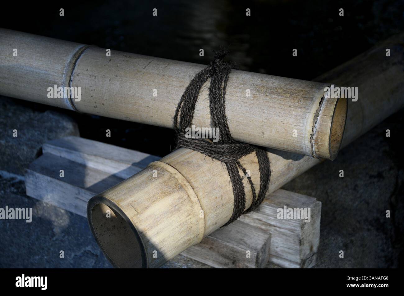 Traditional Japanese Otoko-musubi string knot on a bamboo fence in ...