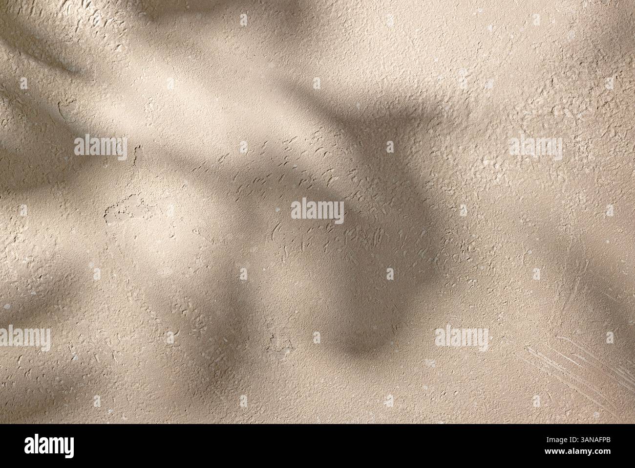 abstract light brown wall background with plant reflection, sunny and ...
