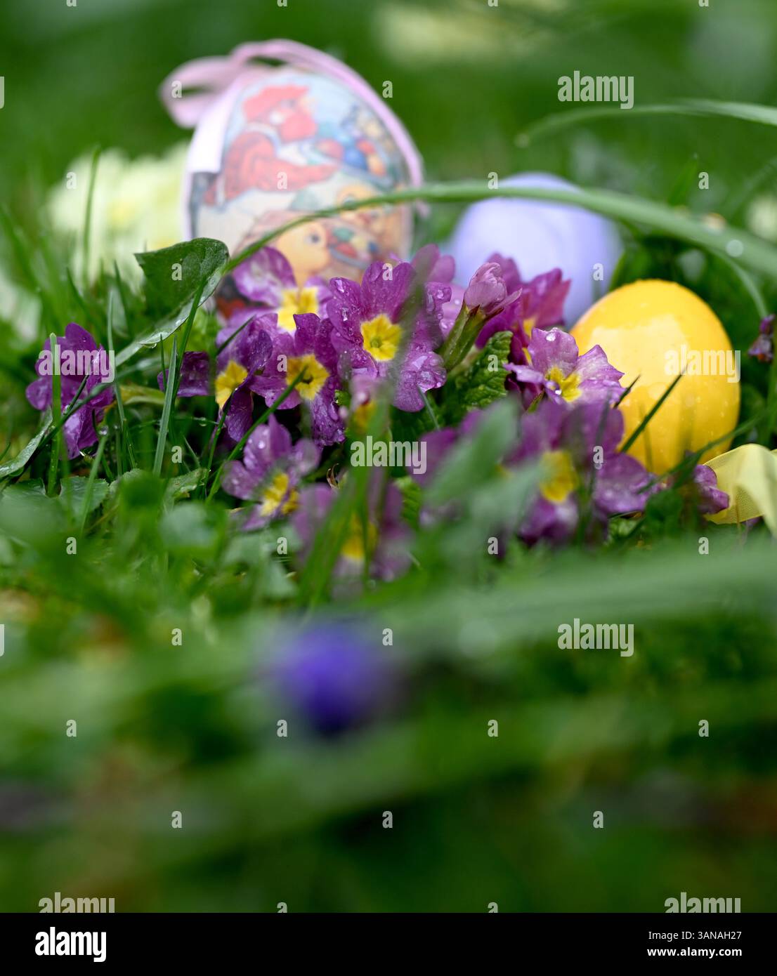 THEME PICTURE - Easter/Easter festival/Easter eggs/eggs/tradition ...