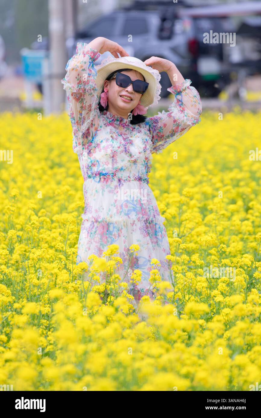 Cole flowers are in full bloom in Jinan City, east China's Shandong ...