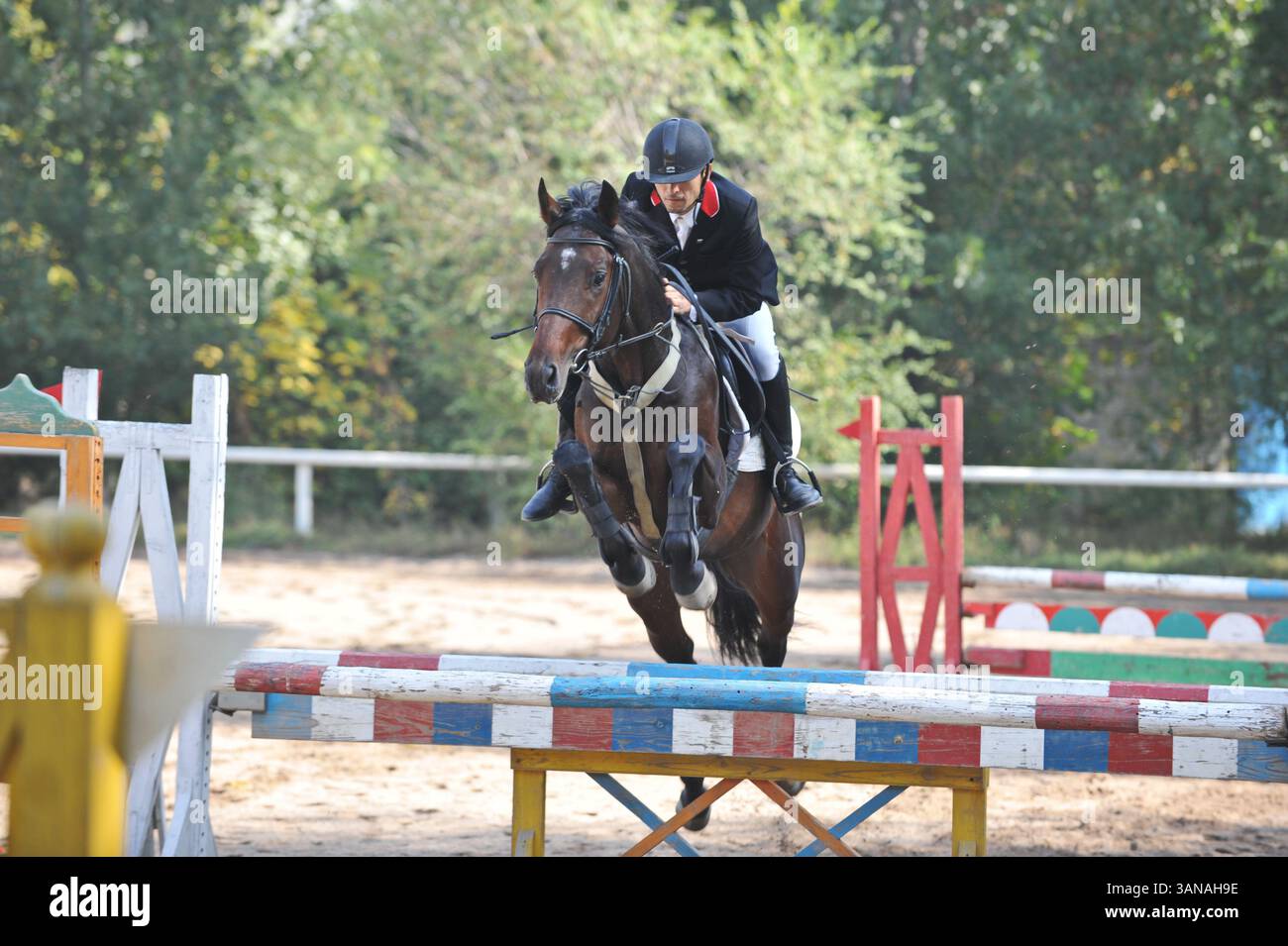 Jumping competition. Athletes and their horses train on a platform with ...