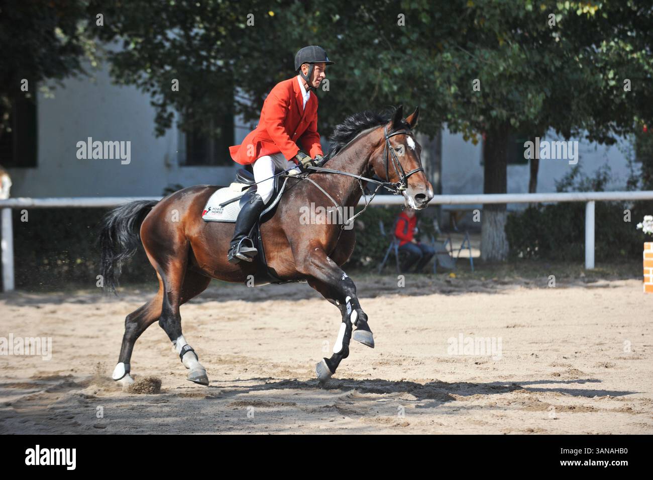 Jumping competition. Athletes and their horses train on a platform with ...