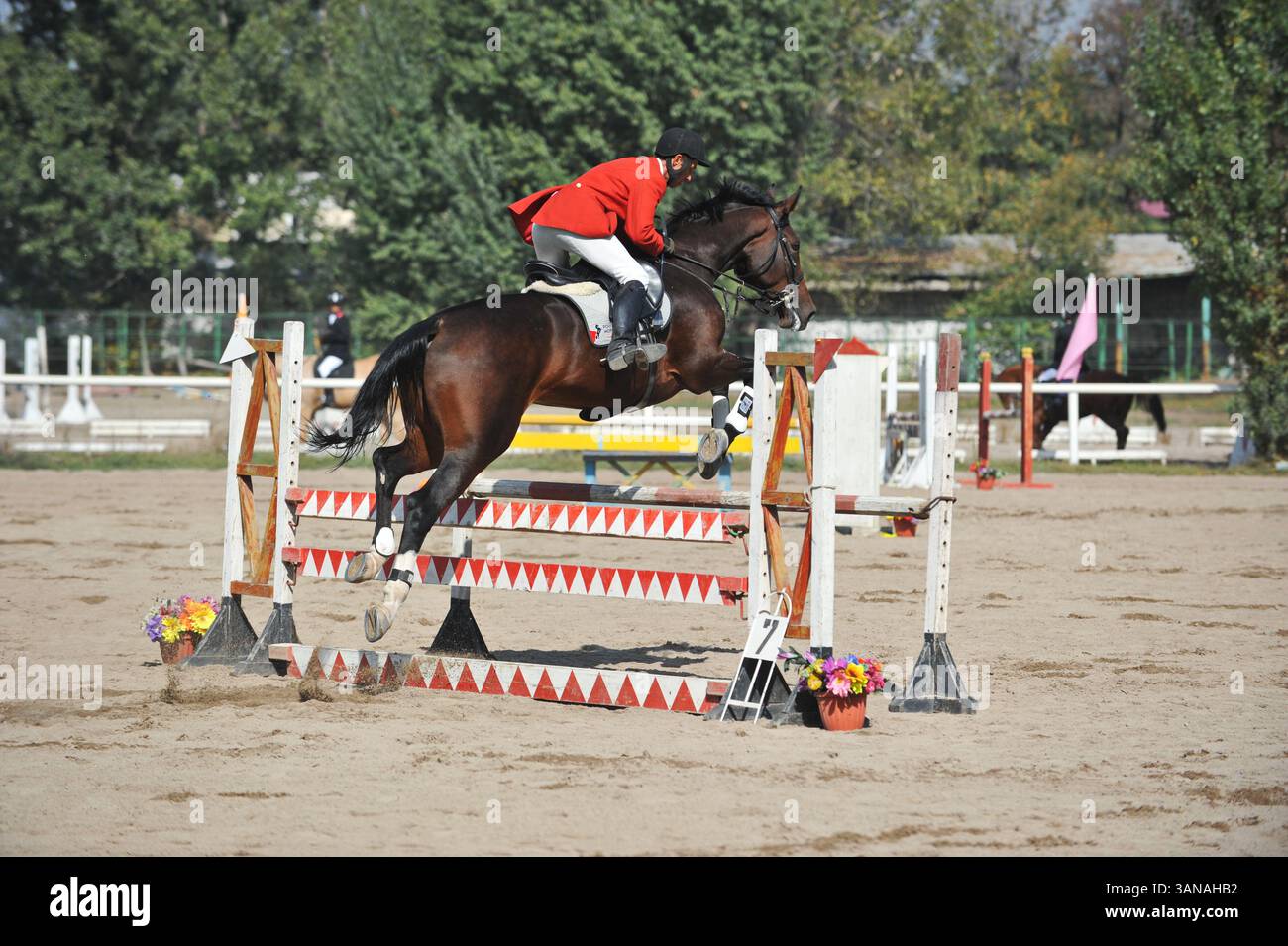 Jumping competition. Athletes and their horses train on a platform with ...