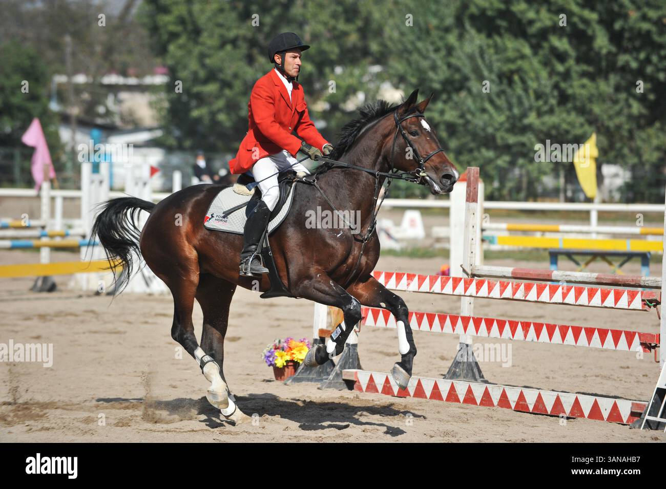 Jumping competition. Athletes and their horses train on a platform with ...
