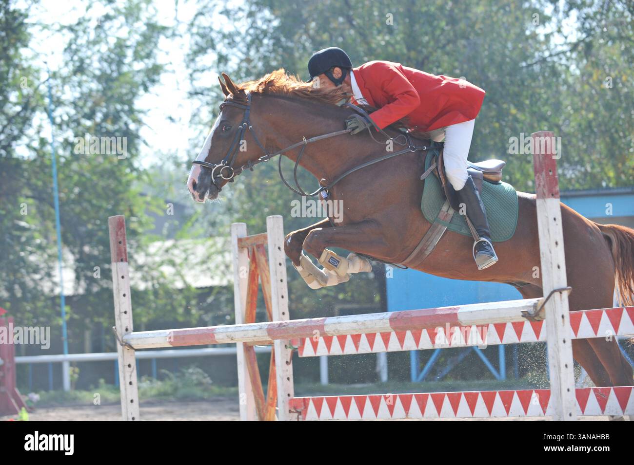 Jumping competition. Athletes and their horses train on a platform with ...