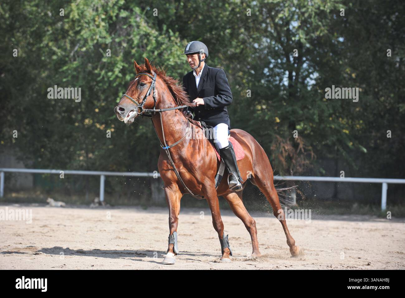 Jumping competition. Athletes and their horses train on a platform with ...