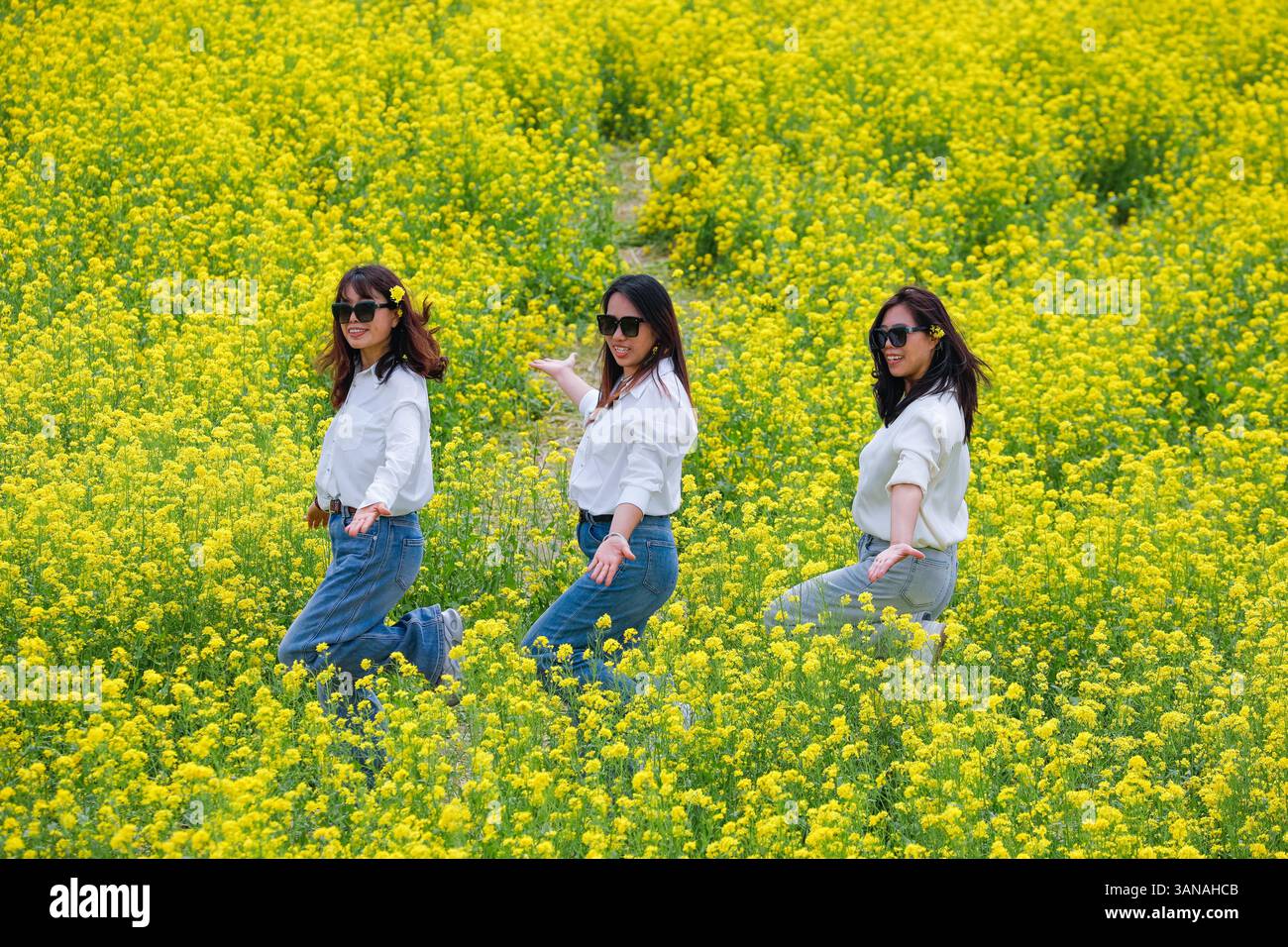 Cole flowers are in full bloom in Jinan City, east China's Shandong ...
