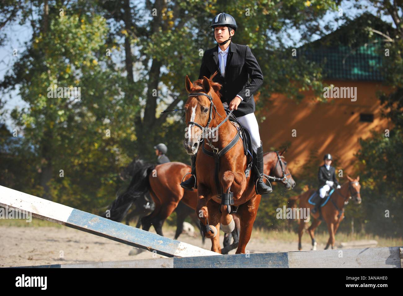 Jumping competition. Athletes and their horses train on a platform with ...