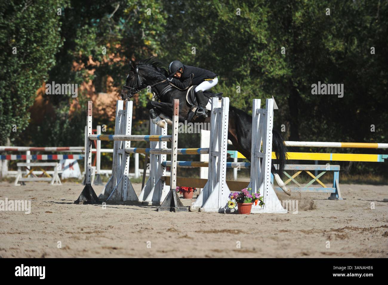 Jumping competition. Athletes and their horses train on a platform with ...