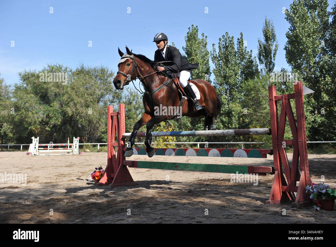 Jumping competition. Athletes and their horses train on a platform with ...