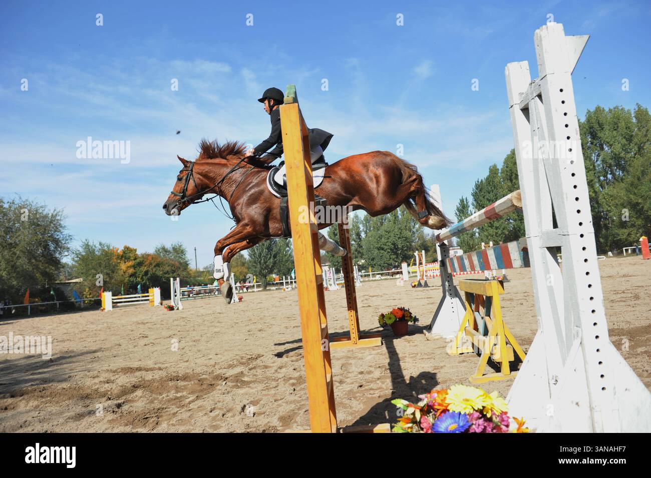 Jumping competition. Athletes and their horses train on a platform with ...