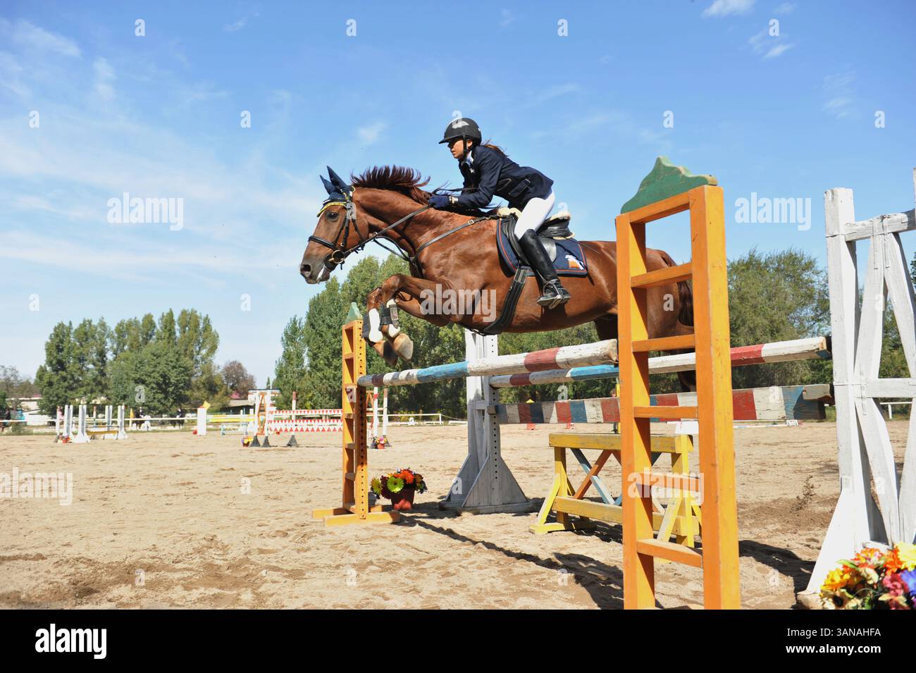 Jumping competition. Athletes and their horses train on a platform with ...