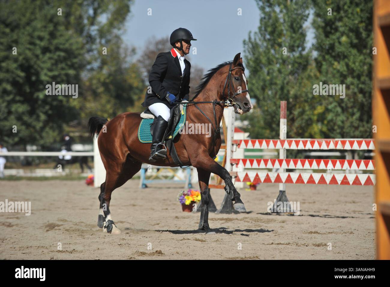 Jumping competition. Athletes and their horses train on a platform with ...