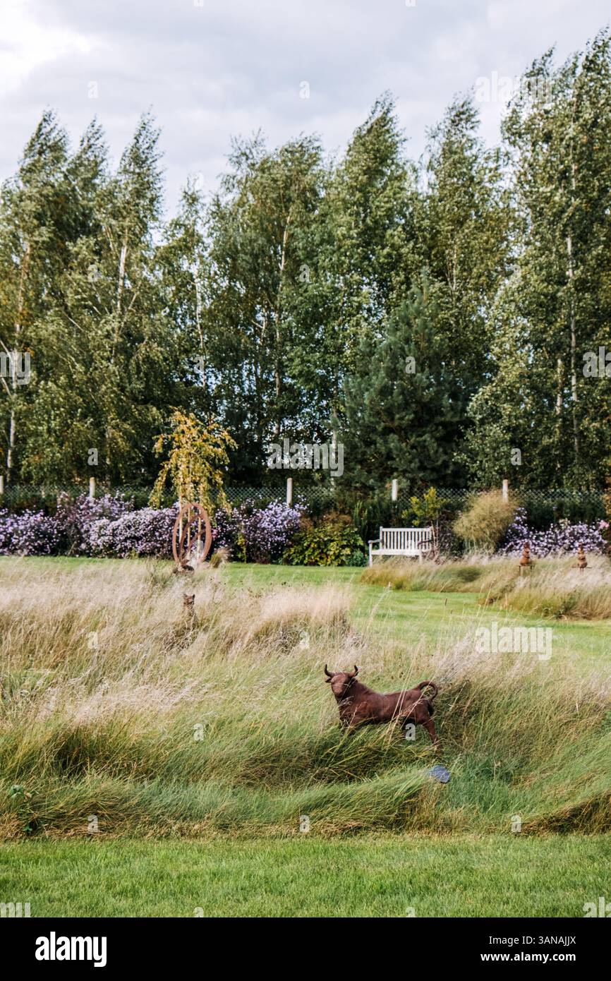 Sculpted bull figure standing in tall grass within a landscaped garden ...