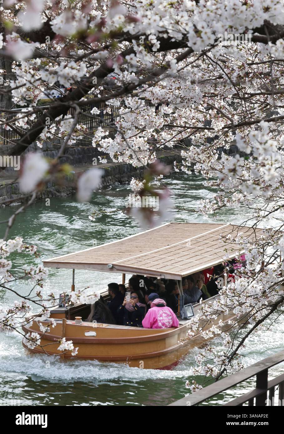 A Jikkoku-bune boat sails along the Lake Biwa Canal in the Okazaki area ...