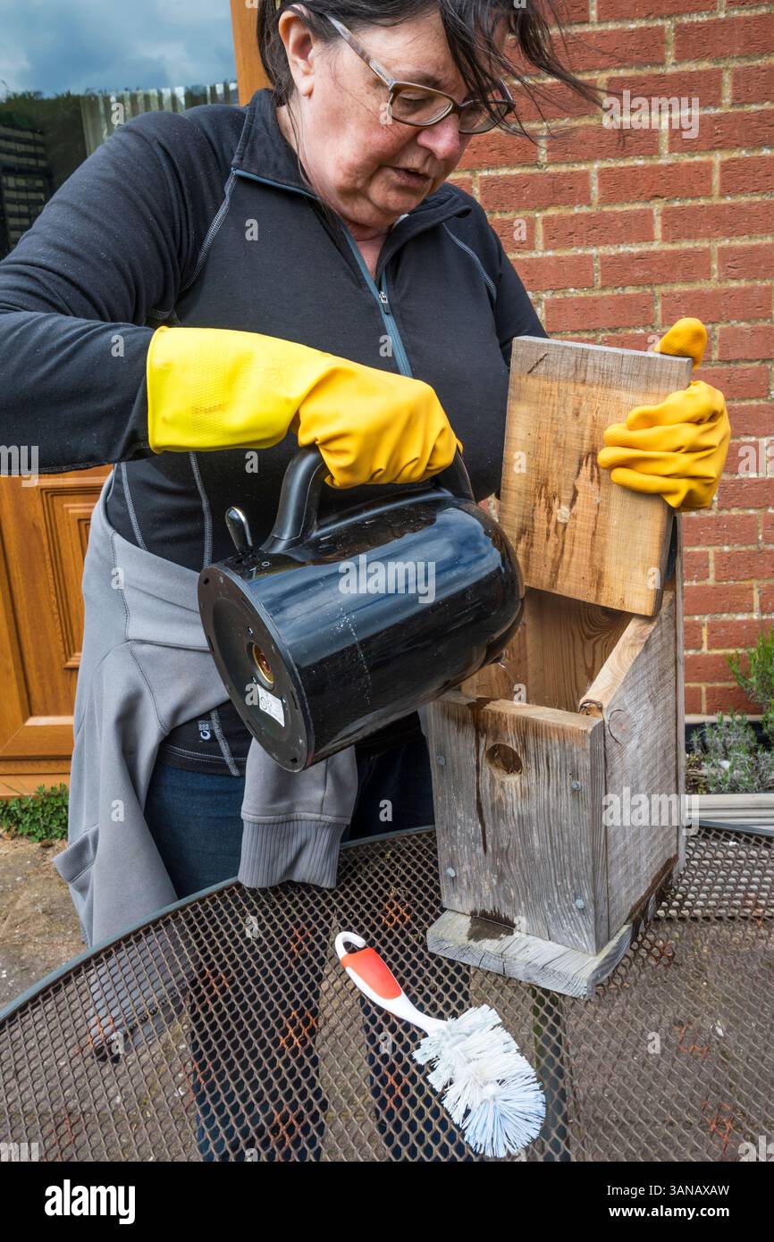 Cleaning out a bird nest box in spring ready for the new nesting season ...