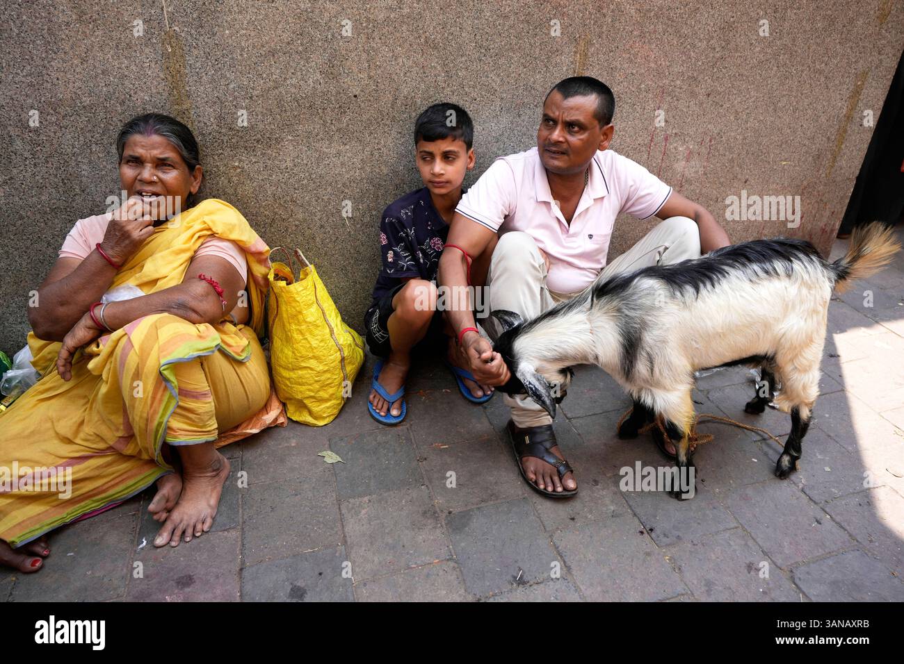 A Hindu devotee with a goat waits outside the Kalighat Kali Temple ...
