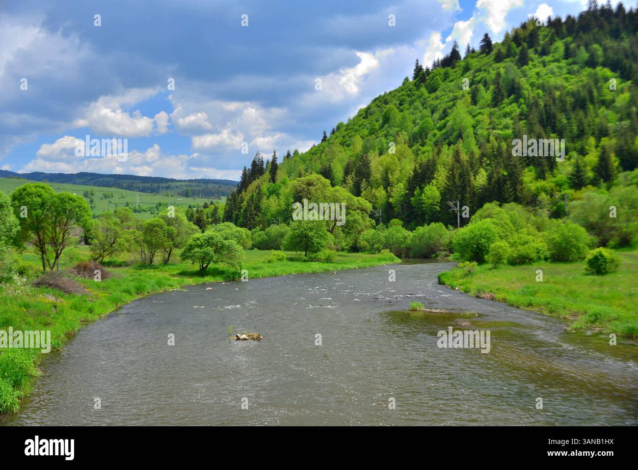 Mures River flowing between green hills and blue skies in the ...