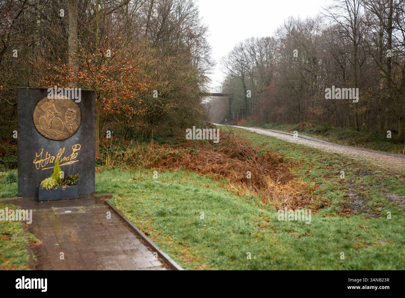 Wallers Arenberg, France. 10th Feb, 2022. The trouée, or “Drève des ...
