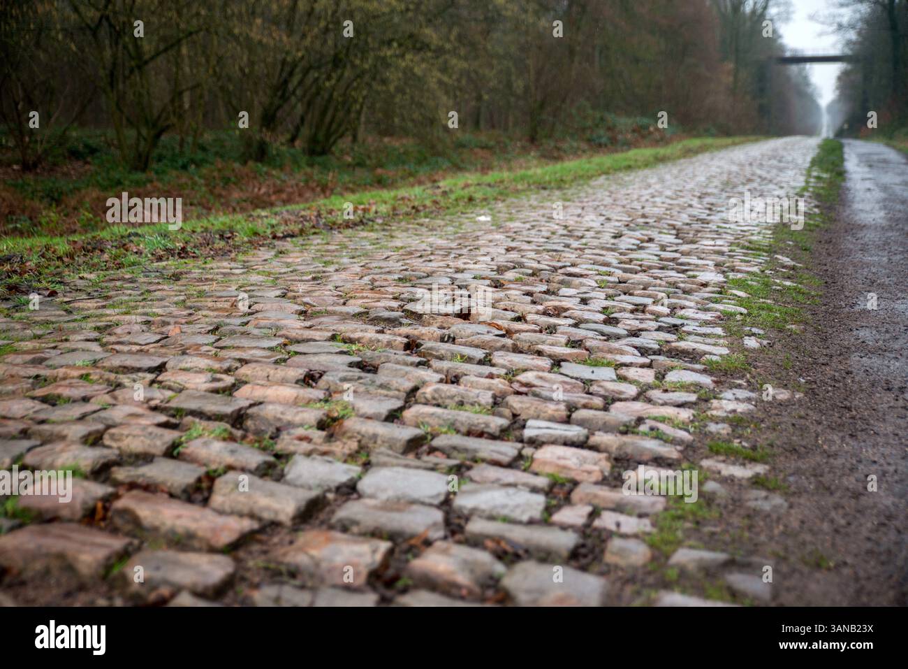 Wallers Arenberg, France. 10th Feb, 2022. The trouée, or “Drève des ...