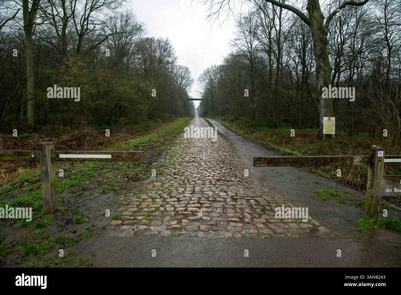 Wallers Arenberg, France. 10th Feb, 2022. The trouée, or “Drève des ...