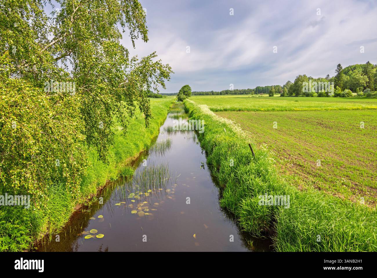 Water canal for drainage fields in the countryside Stock Photo - Alamy