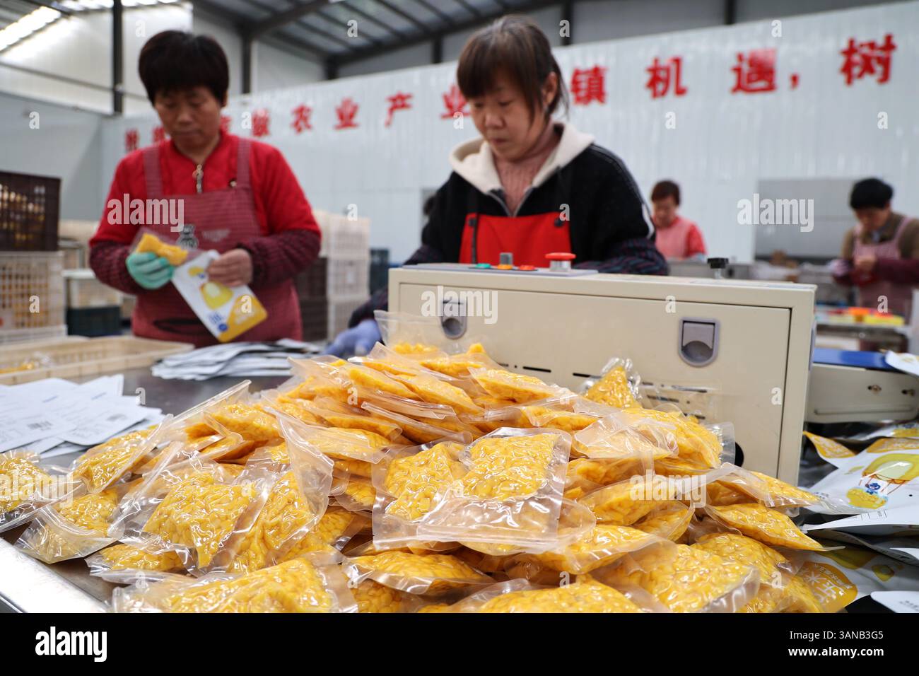 BINZHOU, CHINA - APRIL 14, 2025 - Workers produce corn products for ...