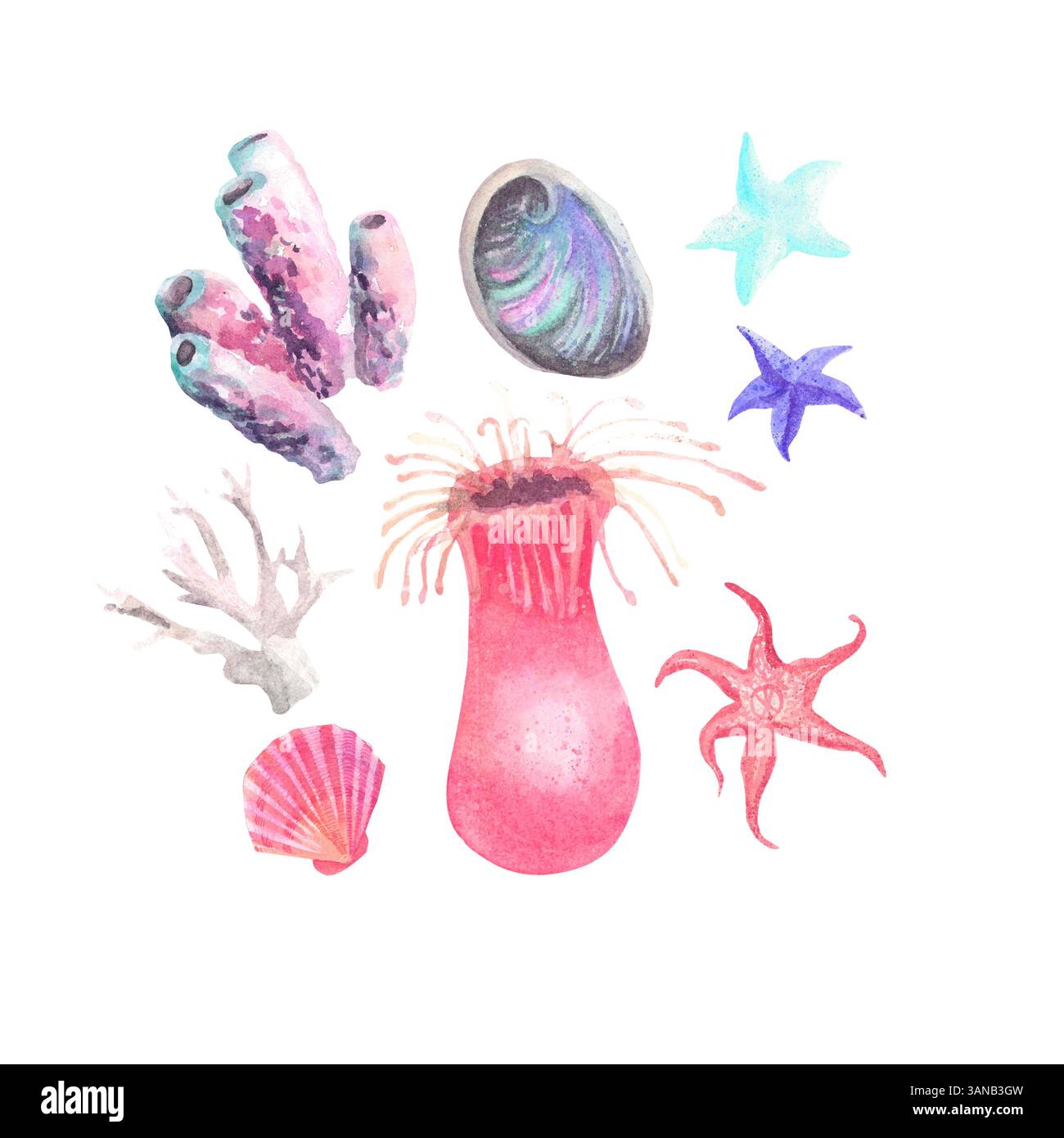 Vibrant underwater creatures Cut Out Stock Images & Pictures - Alamy