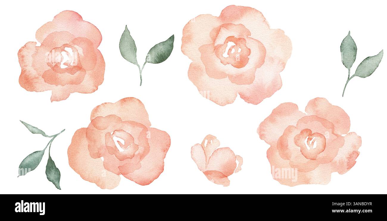 Watercolor set of coral color flowers spots and green leaves. Hand ...