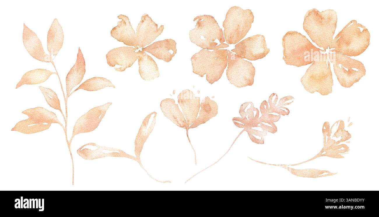 Watercolor set of coral color flowers spots and leaves. Hand drawn ...