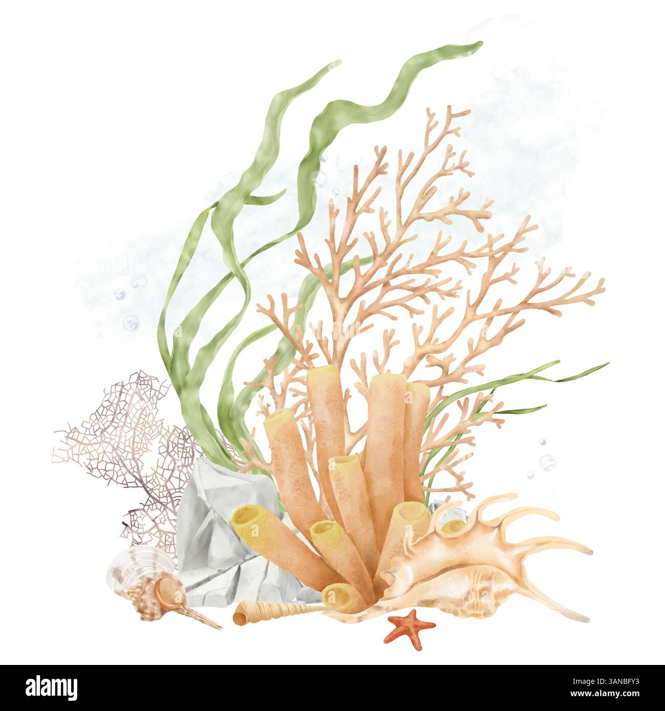 Coral twigs and green algae in the underwater world of the ocean ...