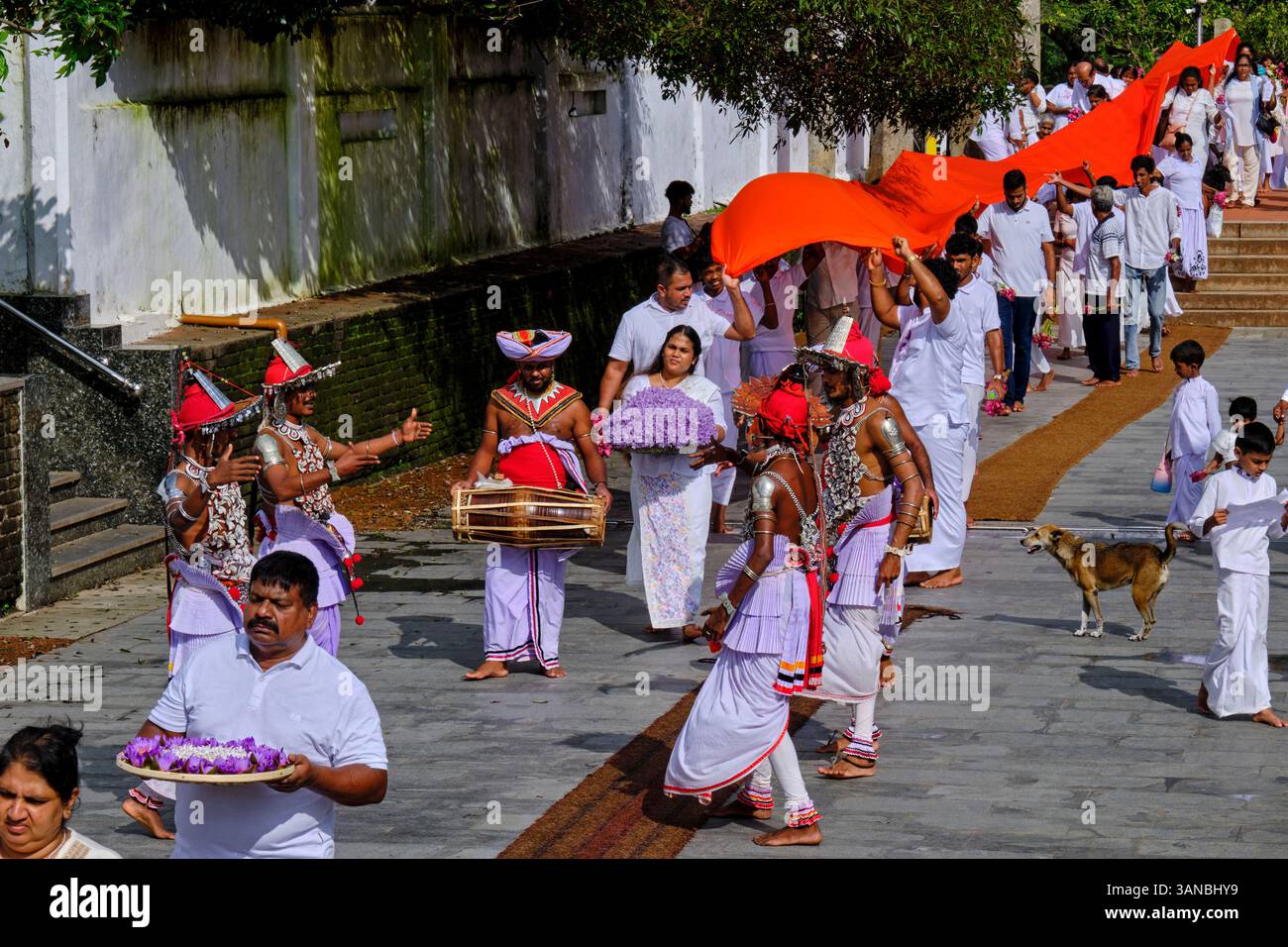 Sri Lanka, North Central Province, Anuradhapura, Ruvanvelisaya Dagoba ...