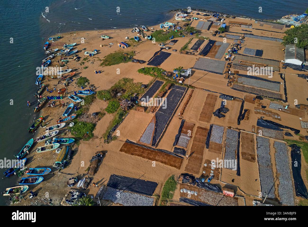 Drone aérien vue femme hi-res stock photography and images - Alamy