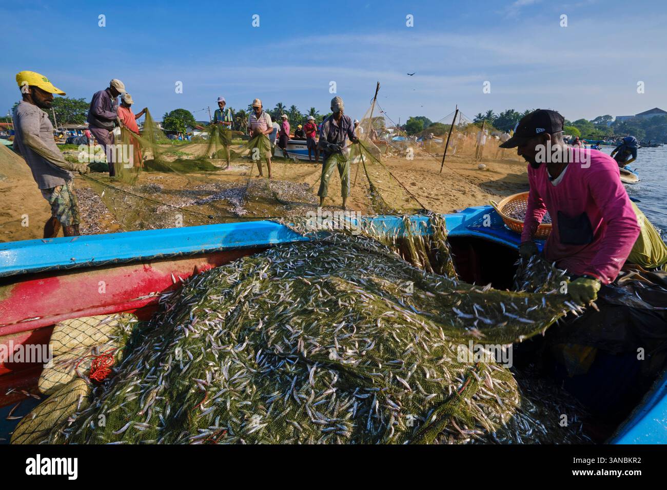 Sri Lanka, Western Province, Gampaha District, Negombo, fishing village ...