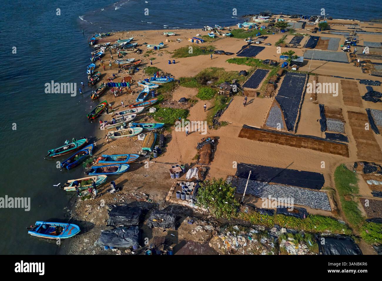 Sri Lanka, Western Province, Gampaha District, Negombo, fishing village ...