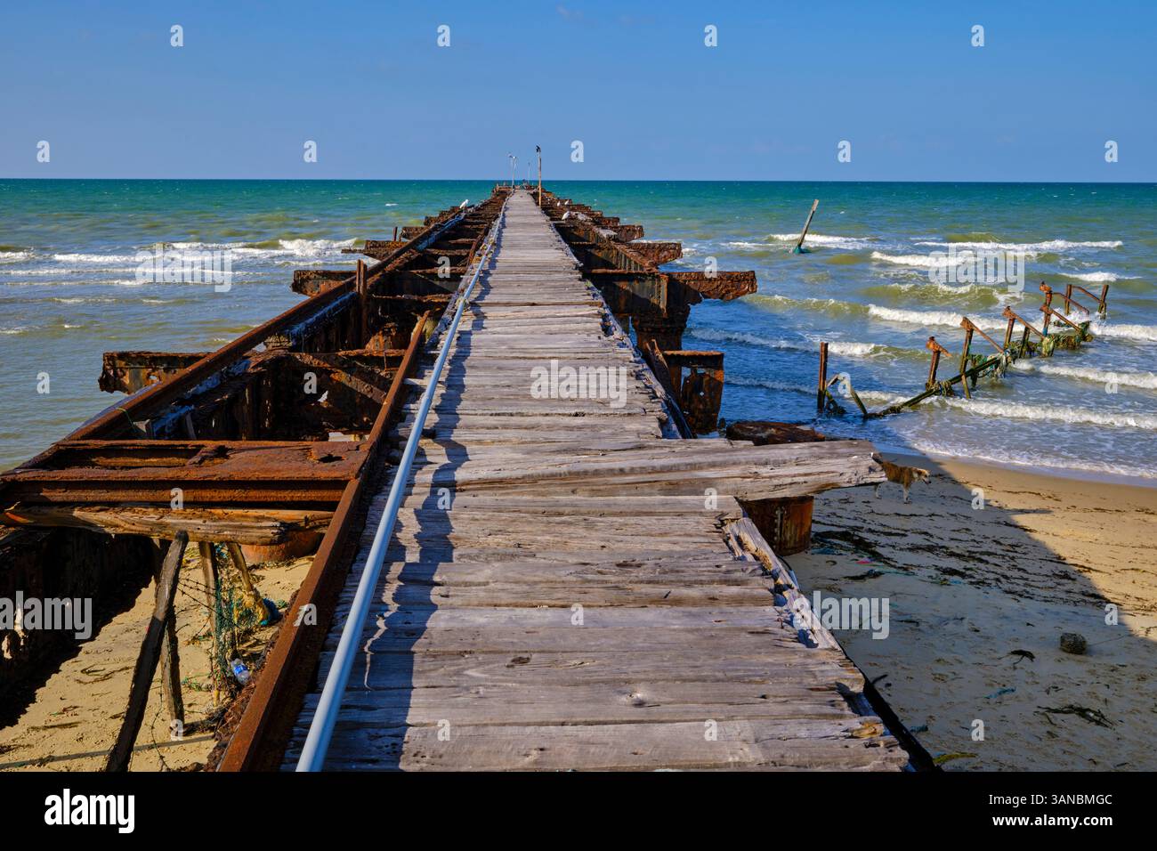 Sri Lanka, Northern Province, Mannar Island, the village of ...