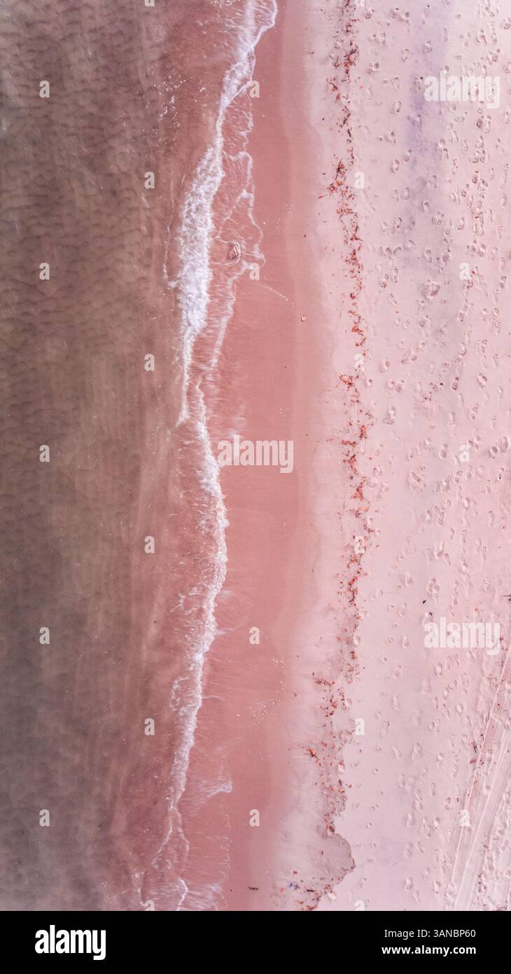 Aerial view of pink beach in Brazil Stock Photo - Alamy