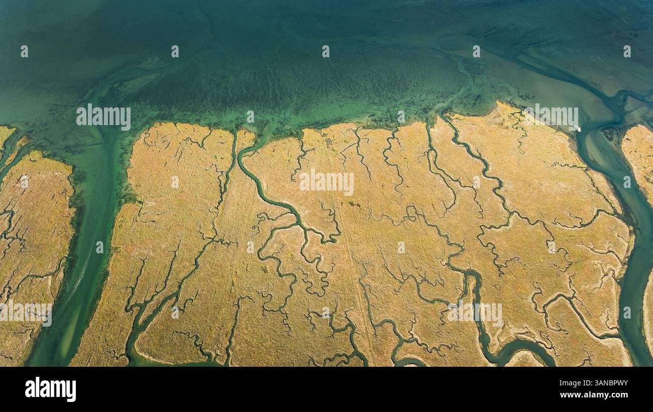 Abstract aerial view of wetlands landscape in the Netherlands Stock ...