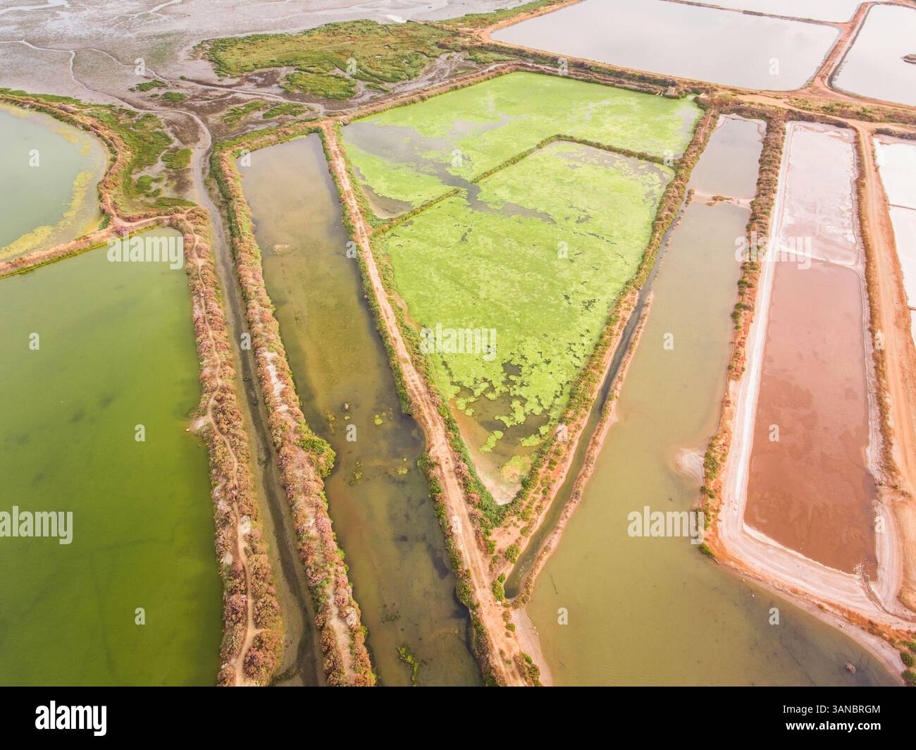 Aerial view of colorful salt marsh in Portugal Stock Photo - Alamy