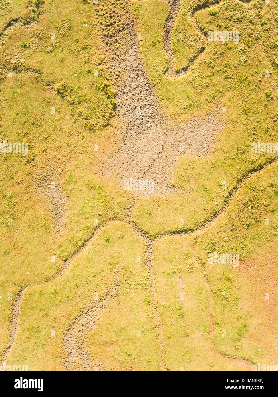Abstract aerial view of wetlands landscapes in the Netherlands Stock ...