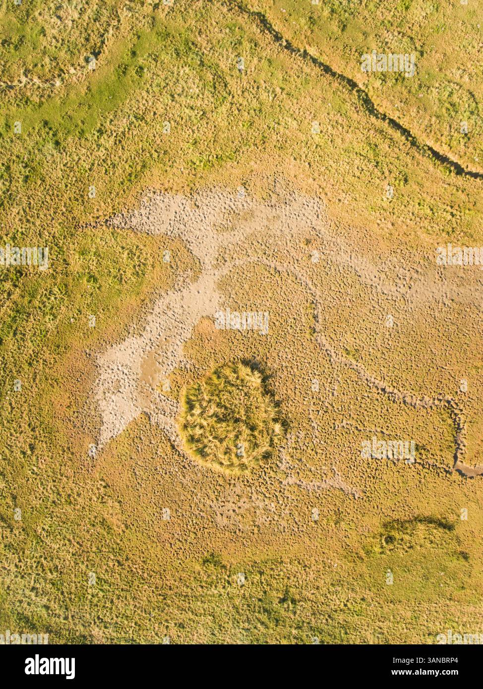 Abstract aerial view of wetlands landscapes in the Netherlands Stock ...