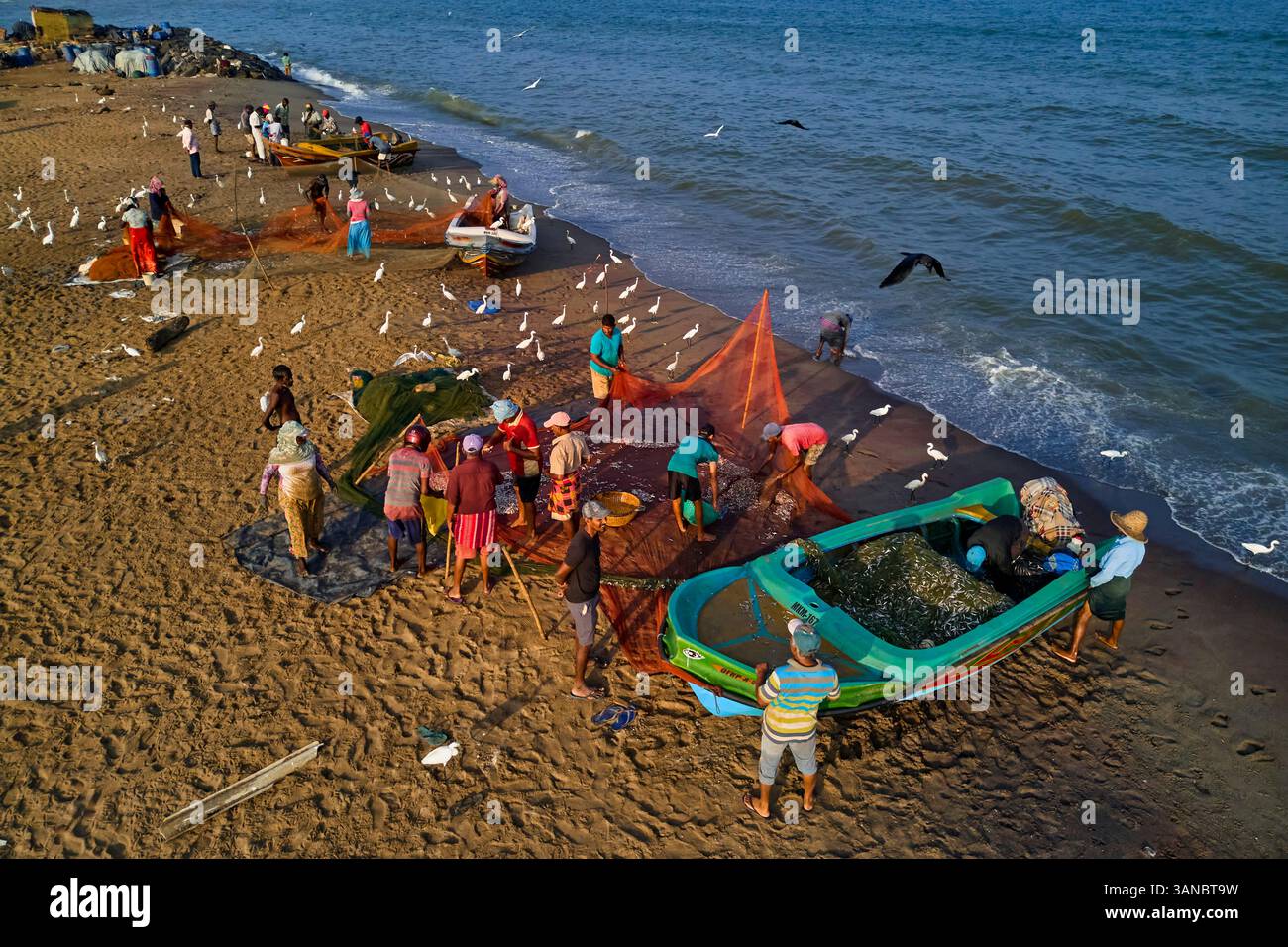Sri Lanka, Western Province, Gampaha District, Negombo, fishing village ...