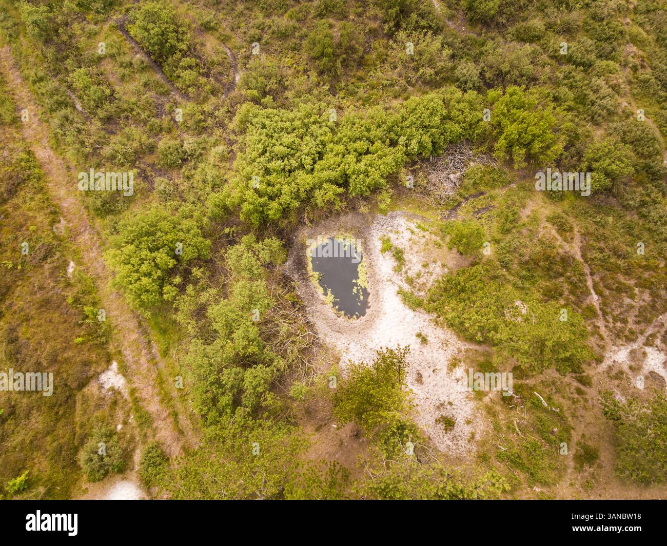 Aerial view of a small hidden lake in The Netherlands Stock Photo - Alamy