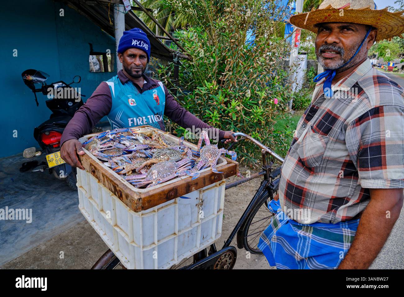 Sri Lanka, Northern Province, Jaffna, Point Pedro Town, return from ...