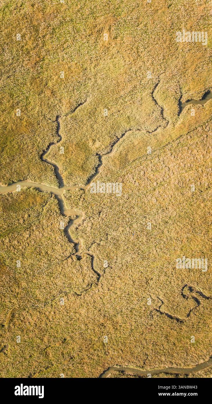 Abstract aerial view of wetlands landscape in the Netherlands Stock ...