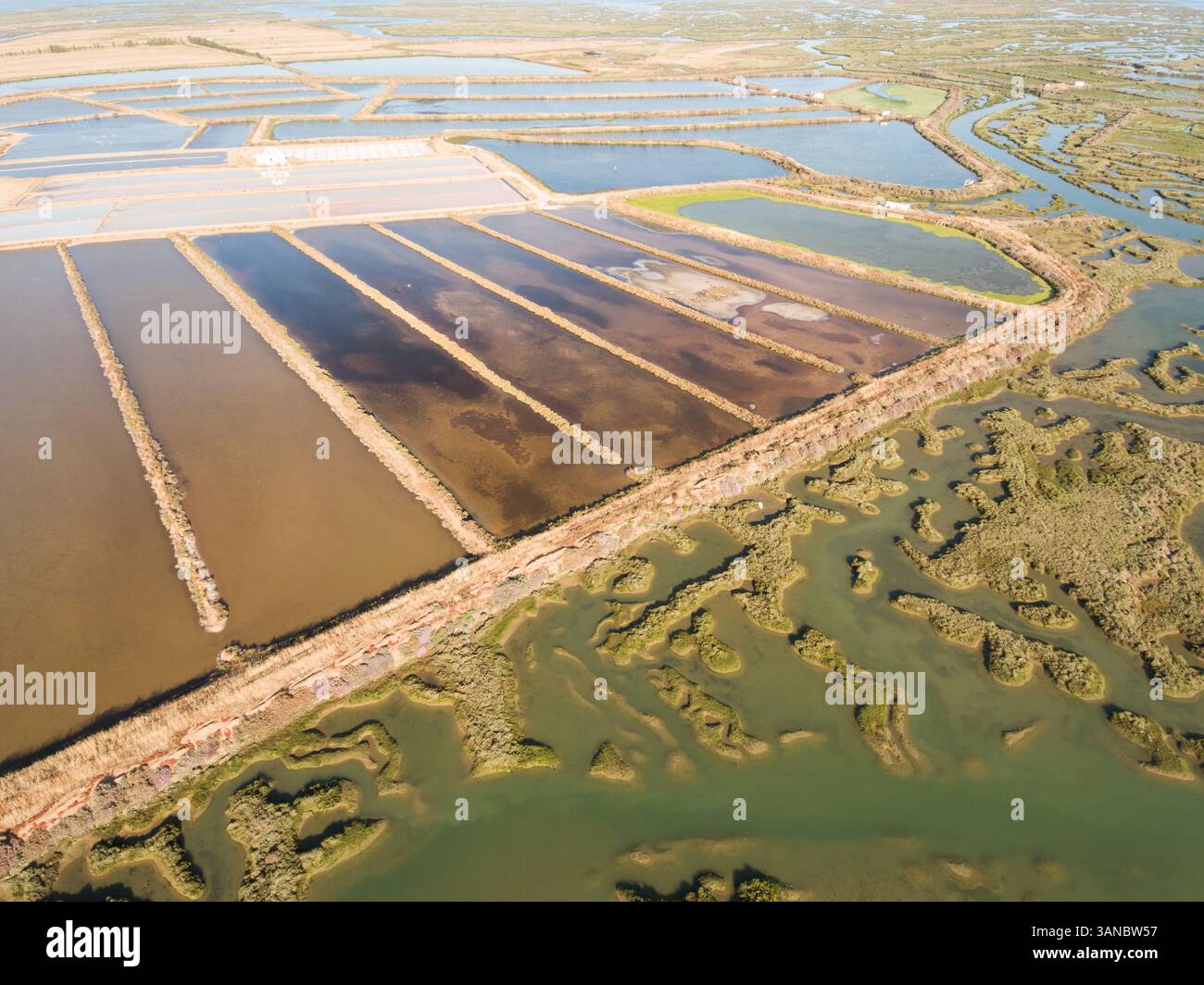 Aerial view of salt marsh in Portugal Stock Photo - Alamy