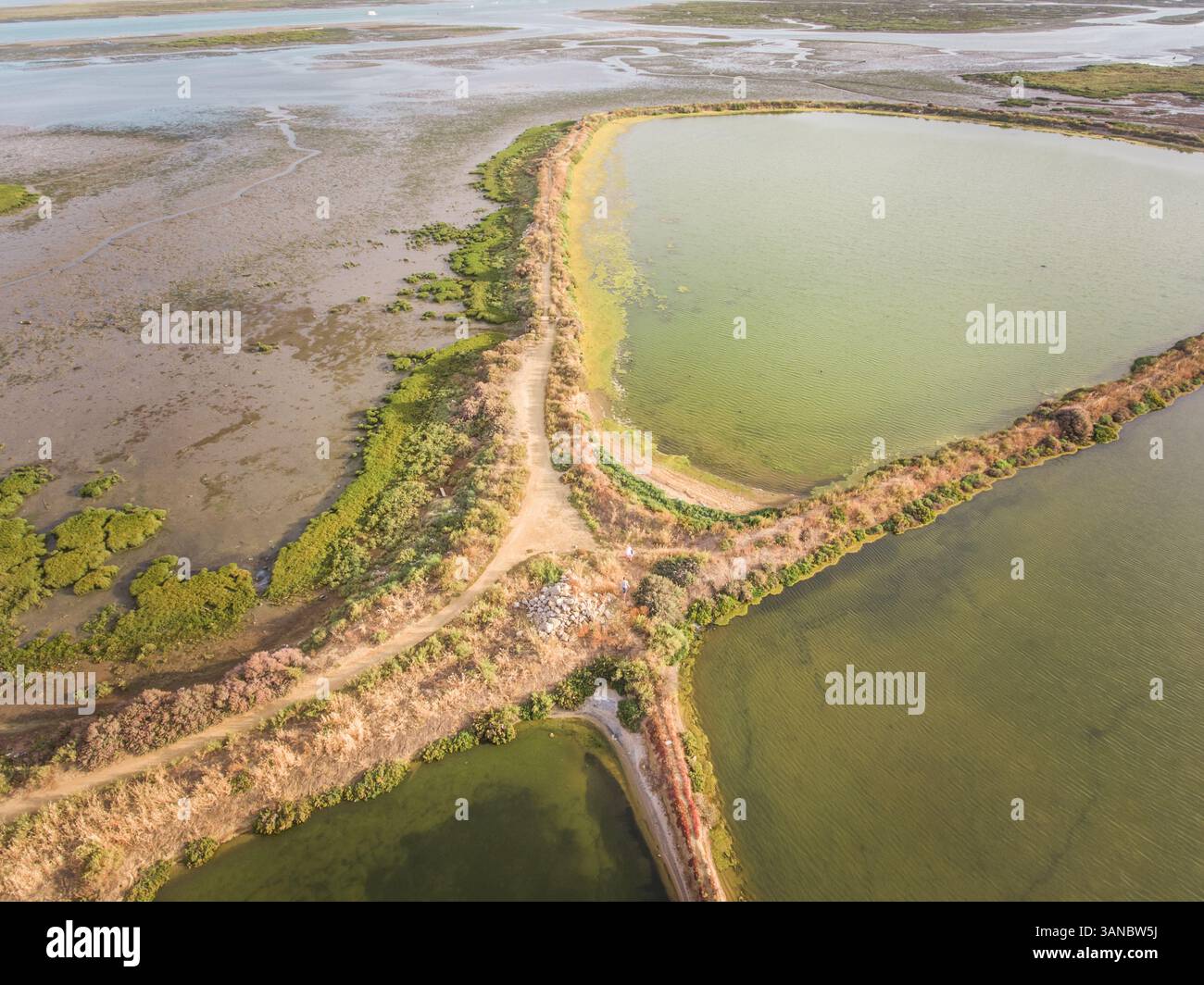 Aerial view of salt marsh in Algarve, Portugal Stock Photo - Alamy