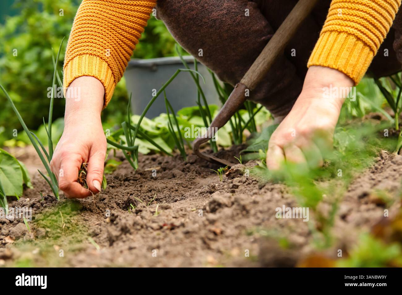 Woman actively engaged in hi-res stock photography and images - Alamy
