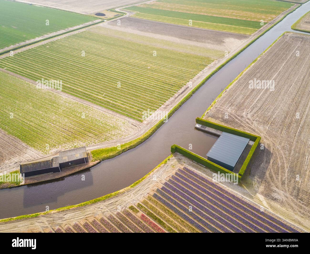 Aerial view of canal among beautiful Keukenhof tulip fields in Lisse ...